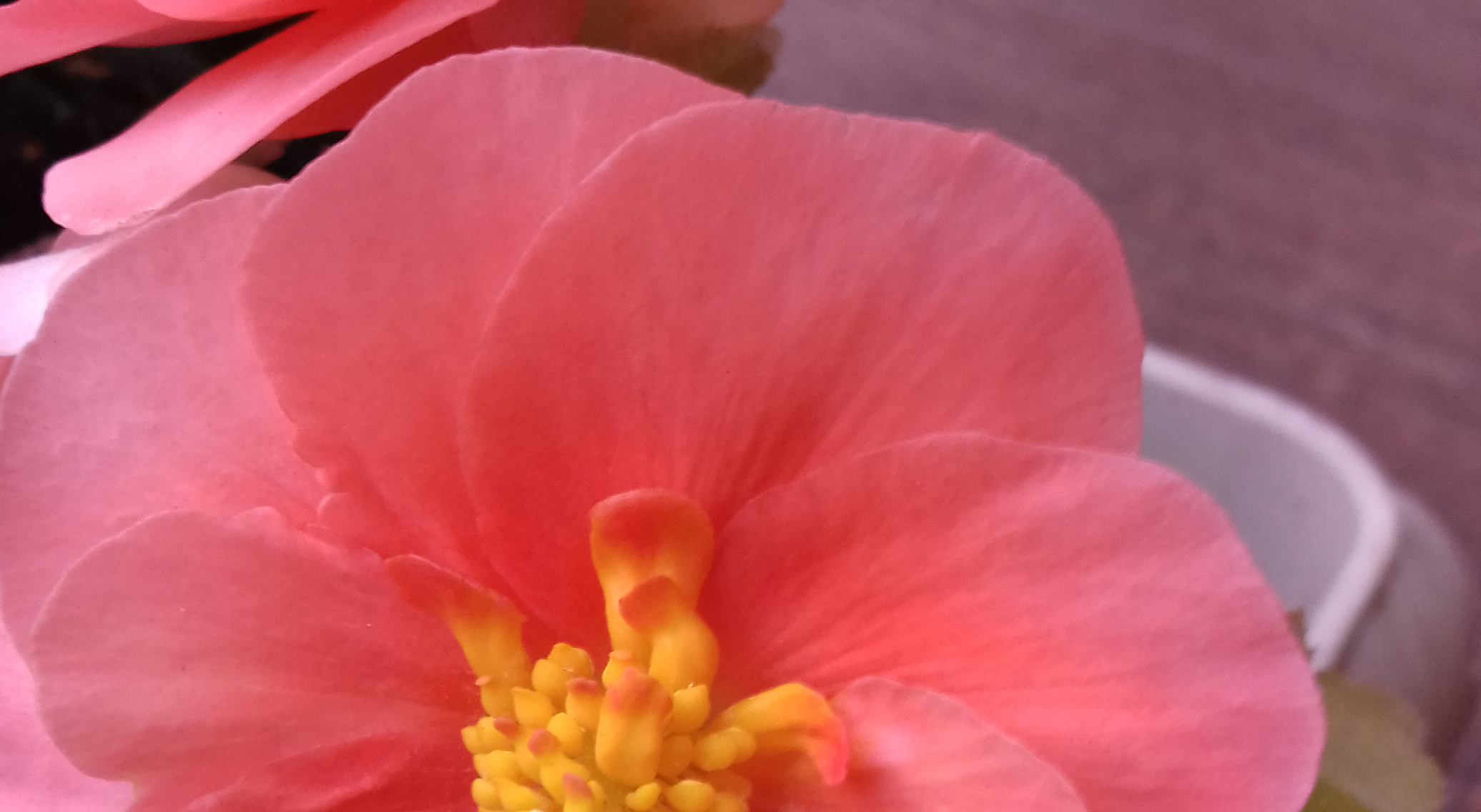 Index of /html5/html-example/